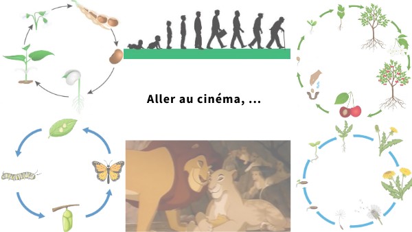 C3-T2-SD8-Les cycles de la vie