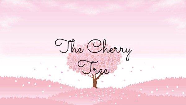 The cherry tree