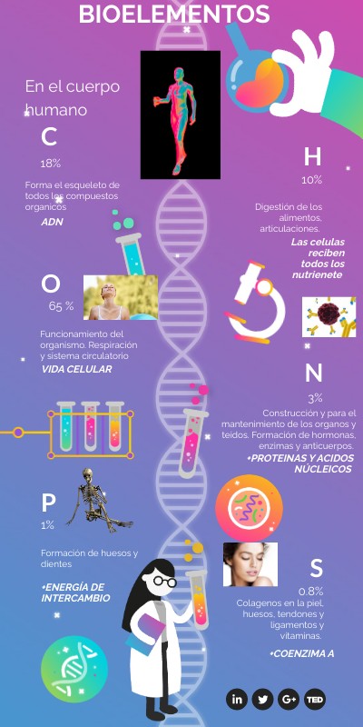 BIOELEMENTOS | Genially