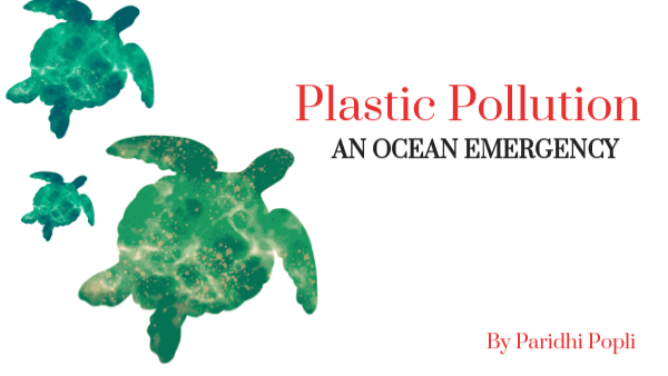 Plastic Pollution - An ocean emergency | Genially