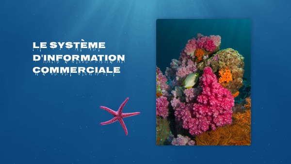 Le système d'information commerciale