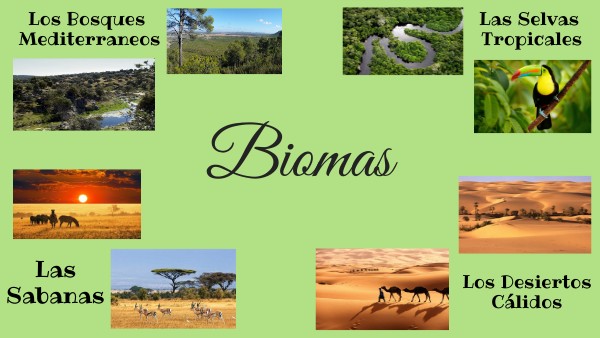 Biomas