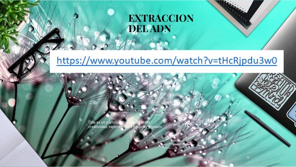 EXTRACCIÓN DEL ADN | Genially