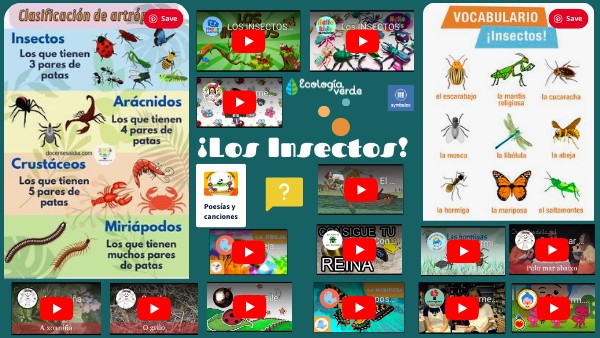 LOS INSECTOS