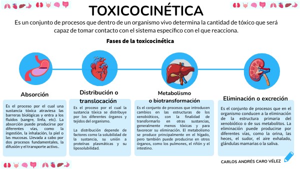Toxicocinética_Carlos Caro | Genially