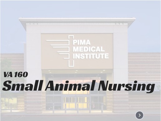 VTA Small Animal Nursing
