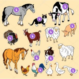 Interactive image_Farm animals sounds_beginners | Genially