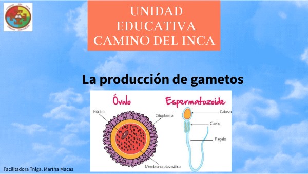 La producción de gametos | Genially