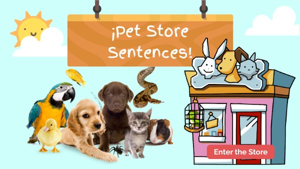 Pet Store Sentences | Genially
