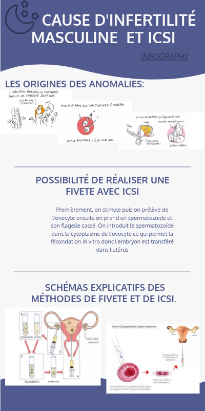 Cause d’infertilité masculine et ICSI | Genially