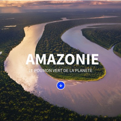 deforestation de l'amazonie/ Lucie | Genially
