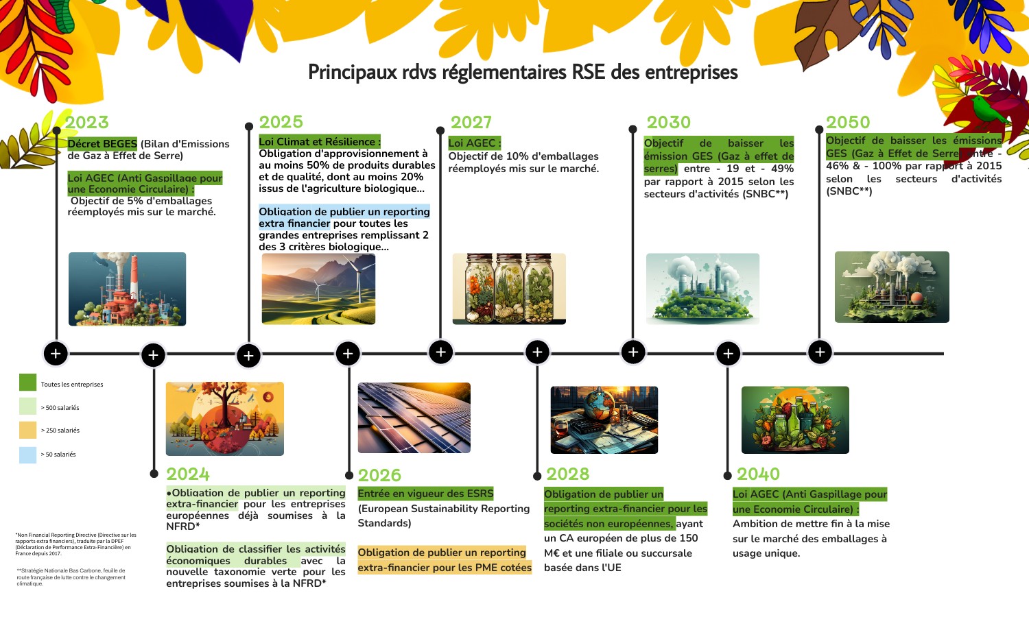 Frise obligation RSE