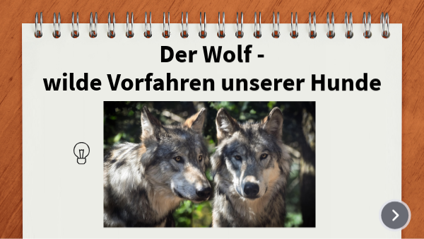 Vom Wolf zum Hund | Genially