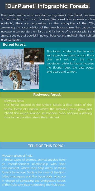 "Our Planet" Infographic: Forests
