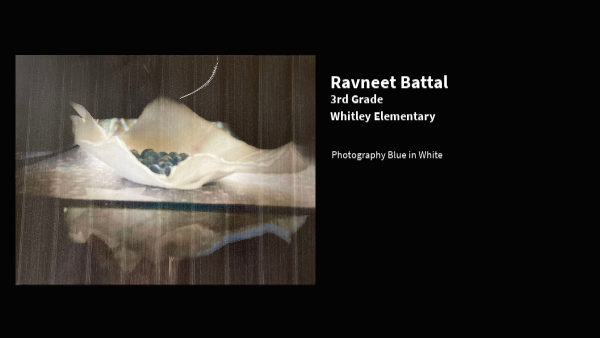 Prek-5: Digital Arts | Genially