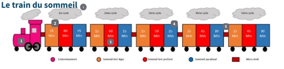 Le train du sommeil | Genially