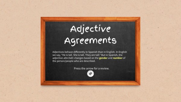 Adjective Agreements review
