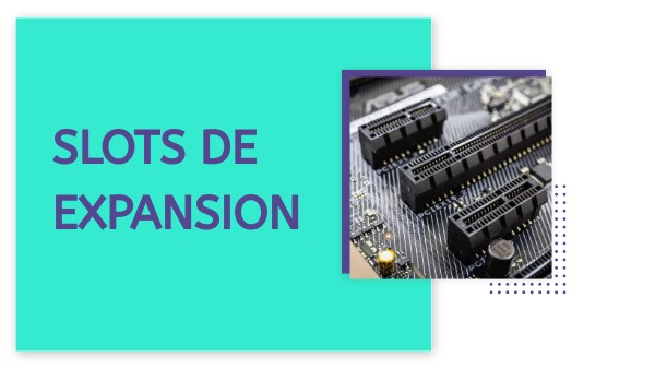 SLOTS DE EXPANSION
