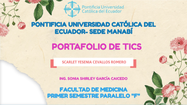 PORTAFOLIO DE TICS