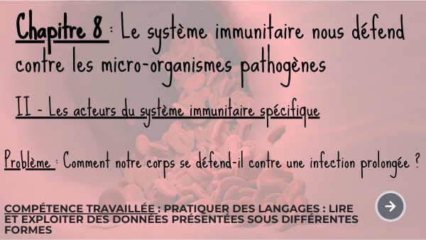 3 - C8 - A2 | Genially