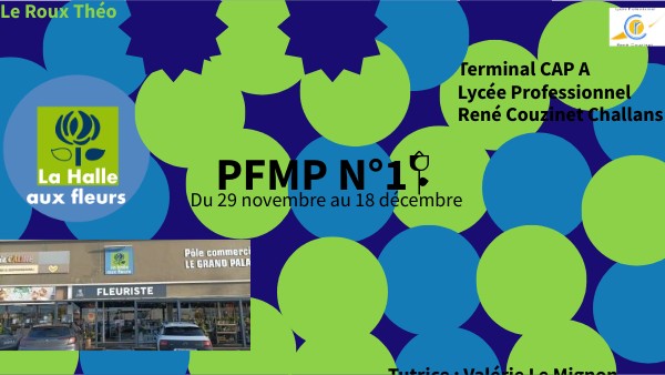 PFMP 1 T CAP A | Genially