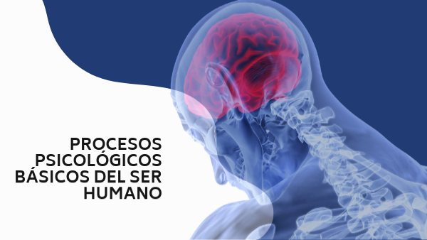 PROCESOS PSICOLOGICOS BÁSICOS | Genially
