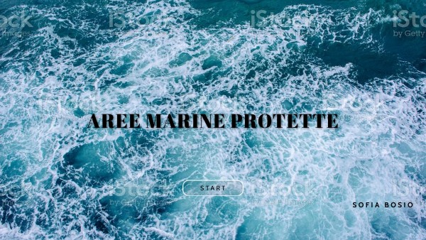 AREE MARINE PROTETTE