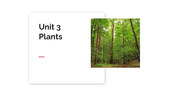 UNIT 3 PLANTS | Genially