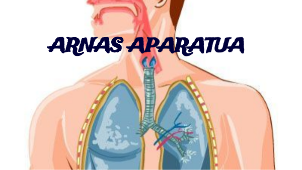 ARNAS APARATUA | Genially