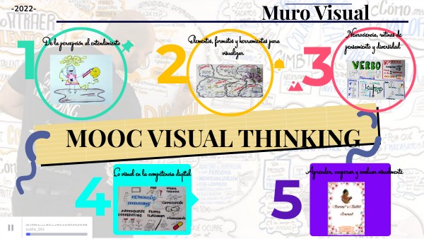 Muro Visual