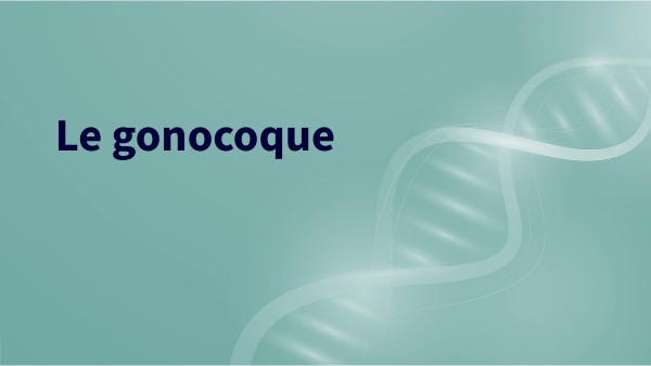Le gonocoque