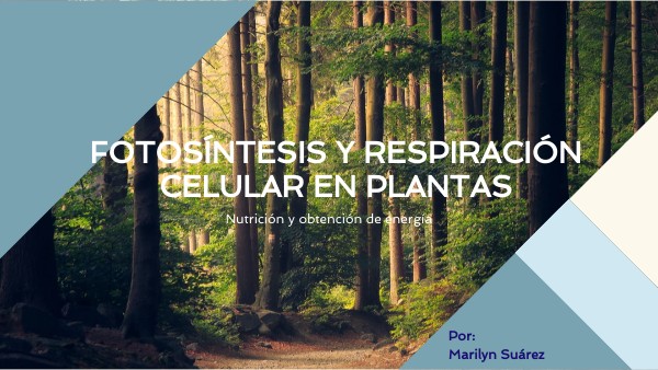 Fotosíntesis y respiración celular | Genially