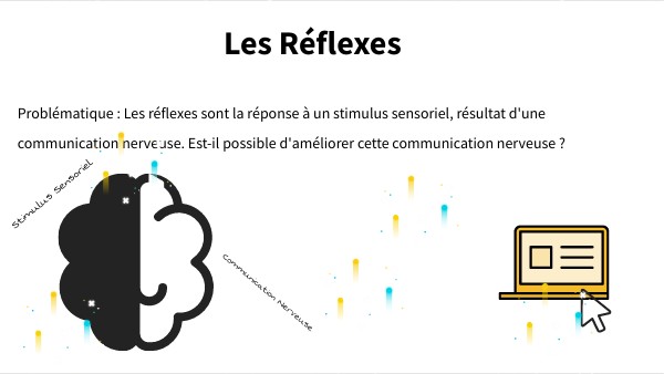 Exposé réflexes | Genially