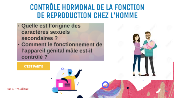 contrôle reproduction homme | Genially