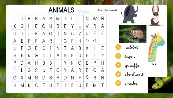 ANIMAL NAMES MATEO