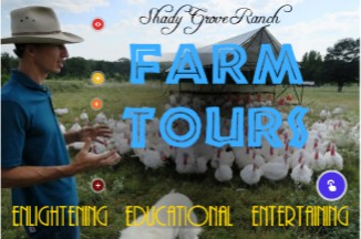 Farm activities for tours | Genially