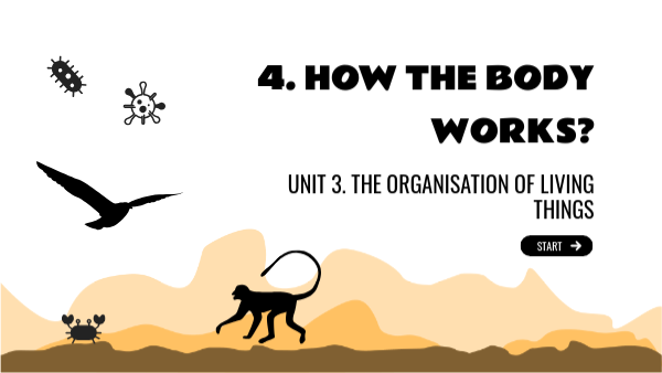 4. How the body works?