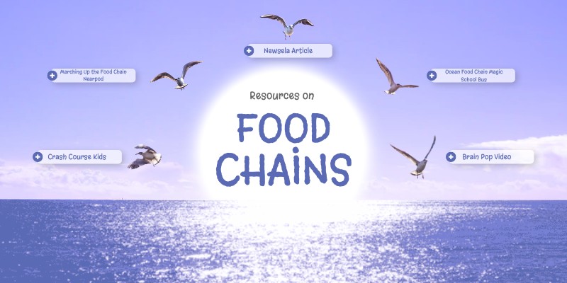 Food Chain Resources
