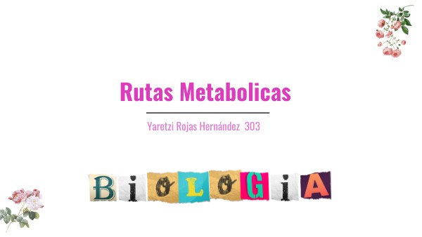 MAPA METABÓLICO INTERACTIVO | Genially