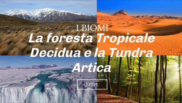 I Biomi: La Foresta Tropicale Decidua e la Tundra Artica | Genially