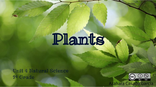 Plants 2º