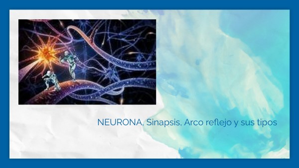 NEURONA, ARCO REFLEJO Y ACTO REFLEJO | Genially