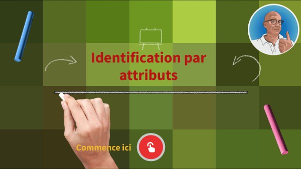 Identification par attributs