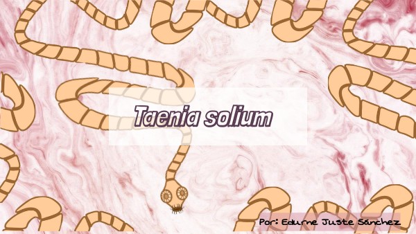 Taenia solium | Genially