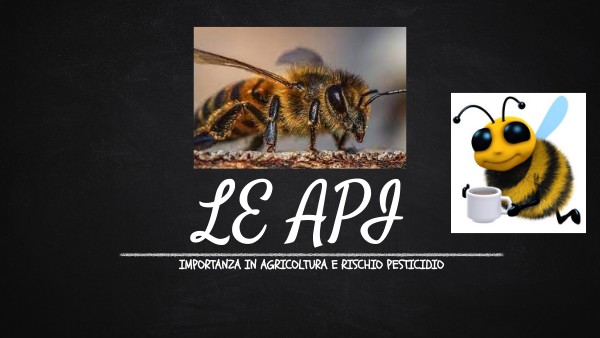 LE API | Genially