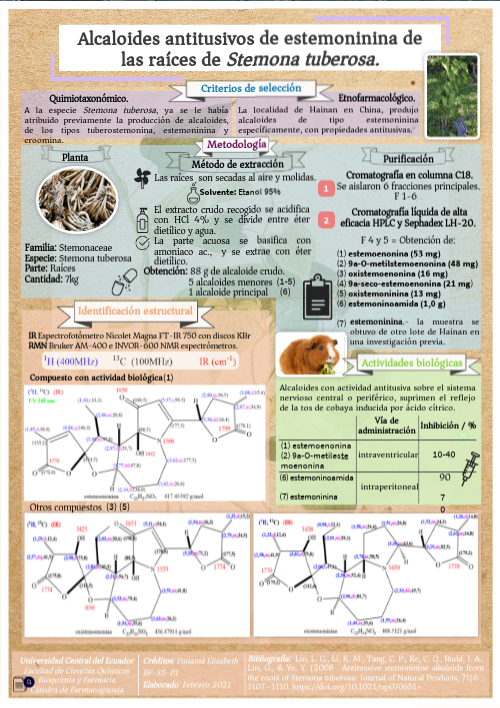 Stemona Tuberosa | Genially