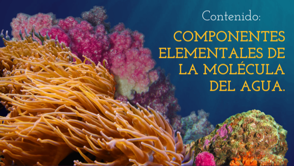 Componentes elementales de la molécula del agua.