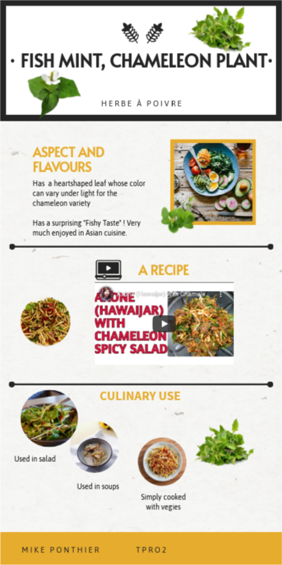 Fish Mint Vauban Kitchen Garden | Genially