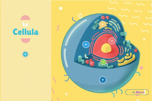 La cellula | Genially