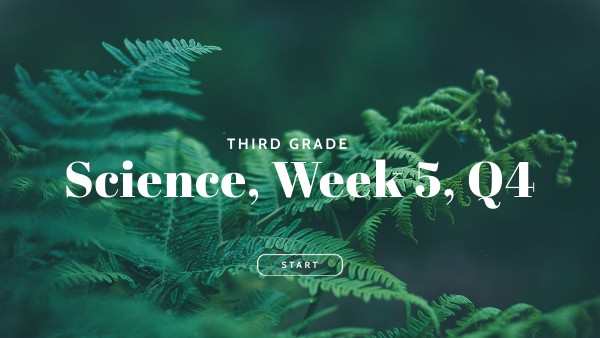 Science, Week 5, Q4 | Genially